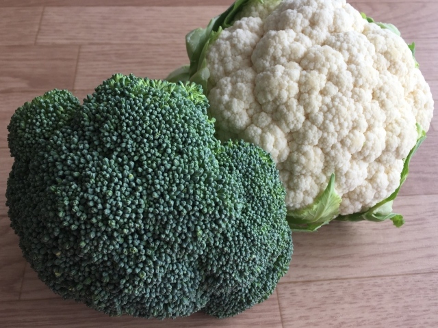ブロッコリー・カリフラワー 野菜をつくろう アグリス(jaあいち知多)